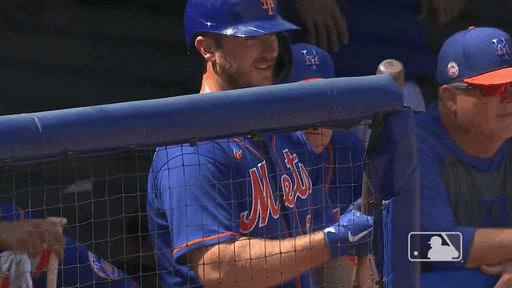 Happy Ny Mets GIF by New York Mets - Find & Share on GIPHY