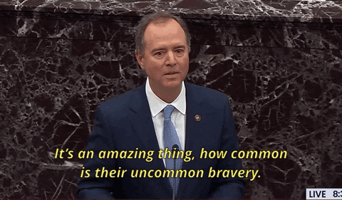 Adam Schiff Impeachment GIF - Find & Share on GIPHY
