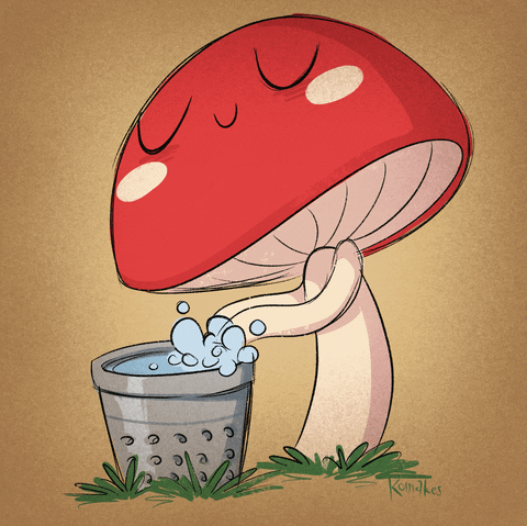 Animation Mushroom GIF - Find & Share on GIPHY
