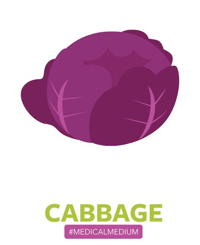 Heal Red Cabbage GIF by Medical Medium - Find & Share on GIPHY