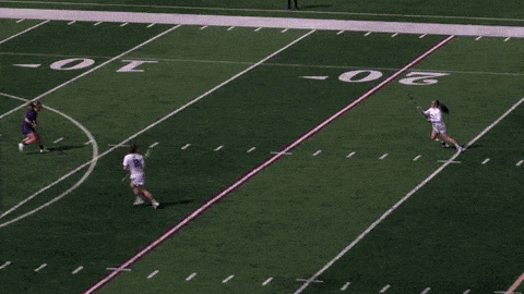 Lafayette Leopards GIF - Find & Share on GIPHY