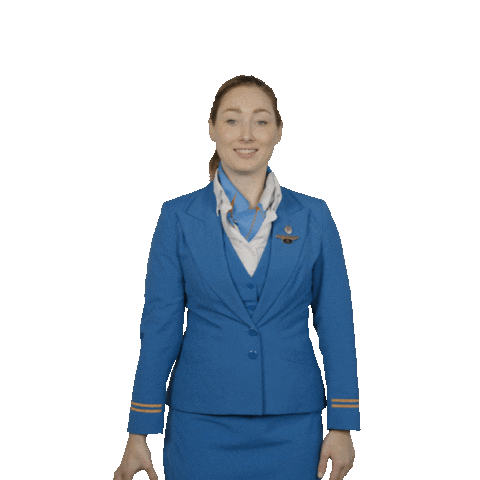 Cabin Crew Ok Sticker by KLM for iOS & Android | GIPHY