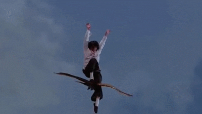 Kung Fu GIF - Find & Share on GIPHY