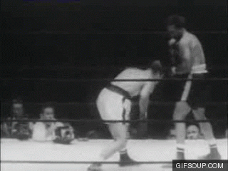 Rocky GIF - Find & Share on GIPHY