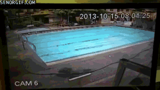 Earthquakes Pools GIF by Cheezburger - Find & Share on GIPHY