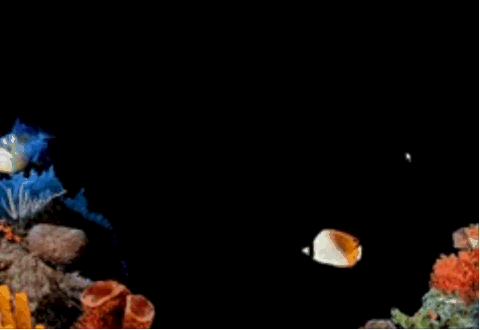 Windows 98 GIF - Find & Share on GIPHY