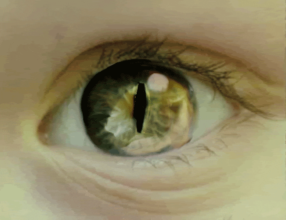 Eye GIF - Find & Share on GIPHY