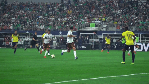 Liga Mx Football GIF by MiSelecciónMX - Find & Share on GIPHY