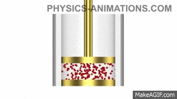 Compression GIF - Find & Share on GIPHY