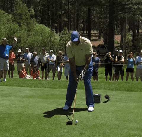 Golf Today GIF - Find & Share on GIPHY