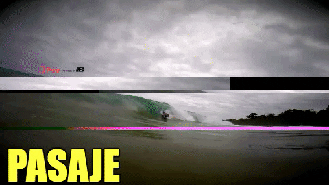 Beach Surf GIF by Bodyboarding Panama - Find & Share on GIPHY