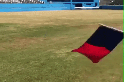 Bermuda Somerset GIF by Bermemes - Find & Share on GIPHY