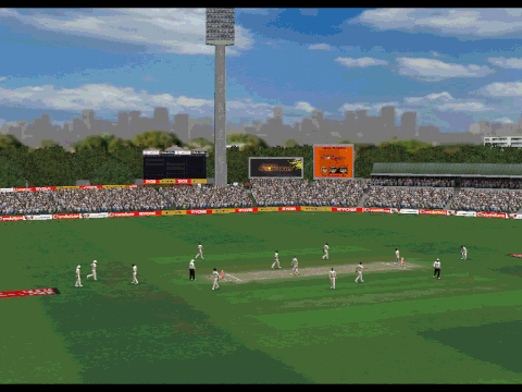 Cricket GIF - Find & Share on GIPHY