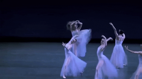 Dance Love GIF by New York City Ballet - Find & Share on GIPHY