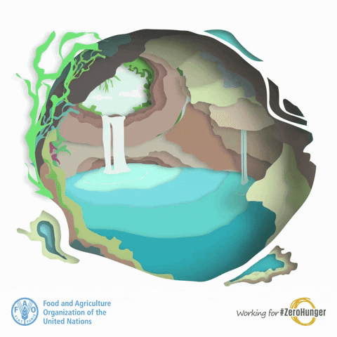 Clean Water GIFs - Get the best GIF on GIPHY