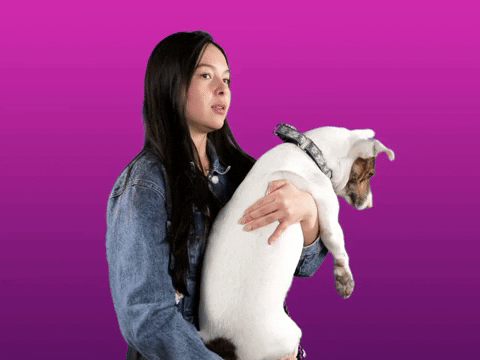 Shocked Dog GIF by Originals - Find & Share on GIPHY