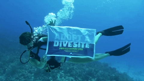 Underwater Bubbles GIFs - Get the best GIF on GIPHY