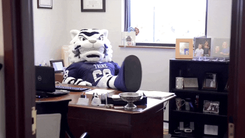 Trine University GIF - Find & Share on GIPHY