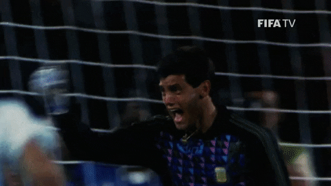 Happy World Cup GIF by FIFA - Find & Share on GIPHY