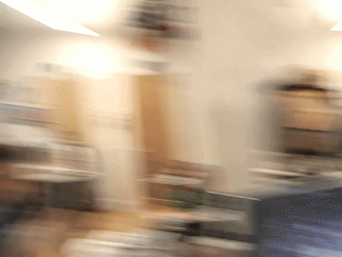 Stoolscenes GIF by Barstool Sports - Find & Share on GIPHY