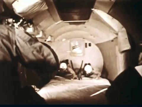 Space Race GIFs - Find & Share on GIPHY