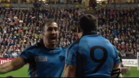 Happy World Rugby GIF by Rugby World Cup - Find & Share on GIPHY