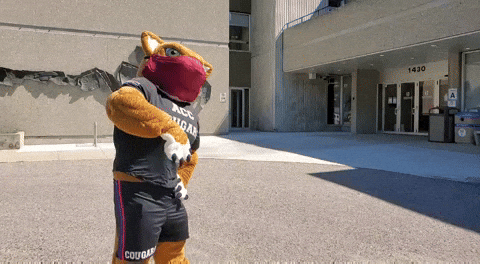 College Mascot GIF by Assiniboine - Find & Share on GIPHY