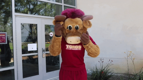 CSUDHTeddyToro GIF - Find & Share on GIPHY