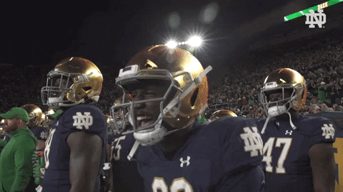 Celebration Clapping GIF by Notre Dame Fighting Irish - Find & Share on ...