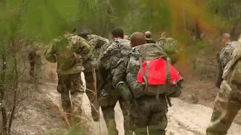 Army Guard GIF by NationalGuard - Find & Share on GIPHY