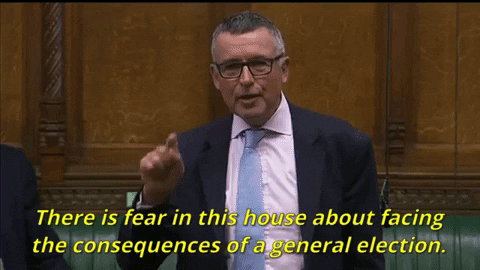 GIPHY News GIF - Find & Share on GIPHY