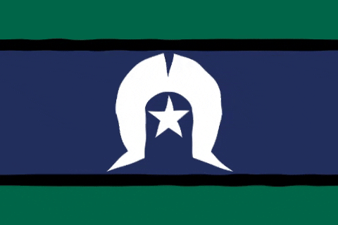 First Nations Naidoc GIF by Indigenous Grapevine - Find & Share on GIPHY