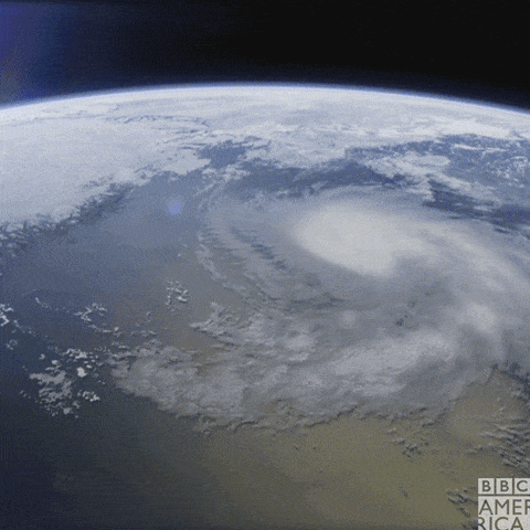 Natures Great Events Earth GIF by BBC America - Find & Share on GIPHY