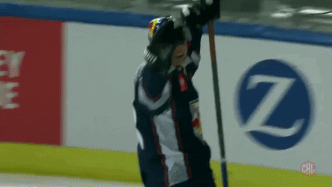 Happy Red Bull GIF by Champions Hockey League - Find & Share on GIPHY