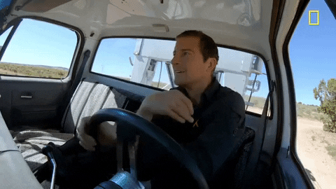 Joel Mchale GIF by National Geographic Channel - Find & Share on GIPHY