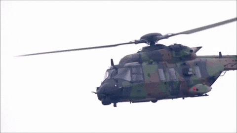 Safran GIF - Find & Share on GIPHY