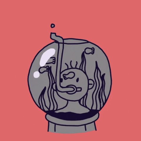 Fish Tank Animation GIF - Find & Share on GIPHY