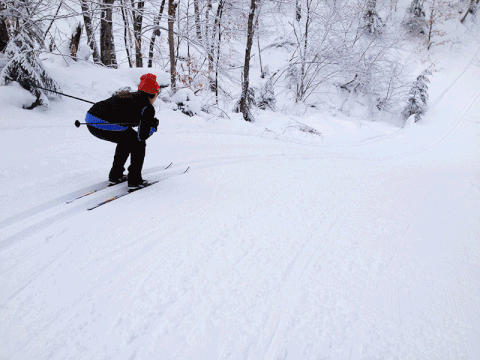 Skiing GIF - Find & Share on GIPHY