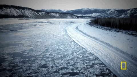 GIF by National Geographic Channel - Find & Share on GIPHY
