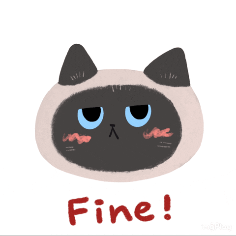 Cat 讚 GIF - Find & Share on GIPHY