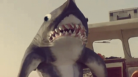 Shark Attack GIF - Find & Share on GIPHY