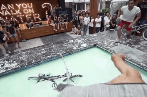 Viral Video GIF - Find & Share on GIPHY