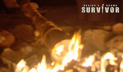 Fire Torch GIF by Australian Survivor - Find & Share on GIPHY