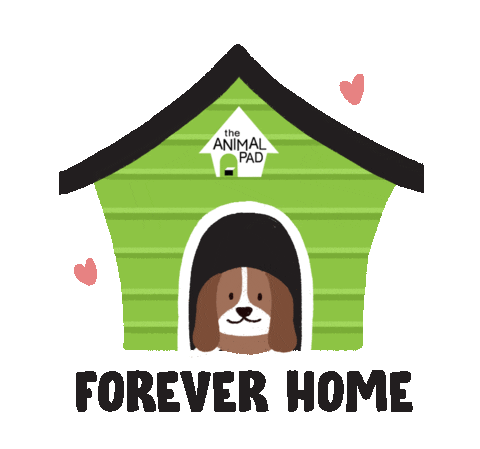 Dog Adopt Sticker by theanimalpad for iOS & Android | GIPHY
