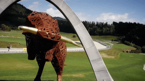 Bull GIFs - Find & Share on GIPHY