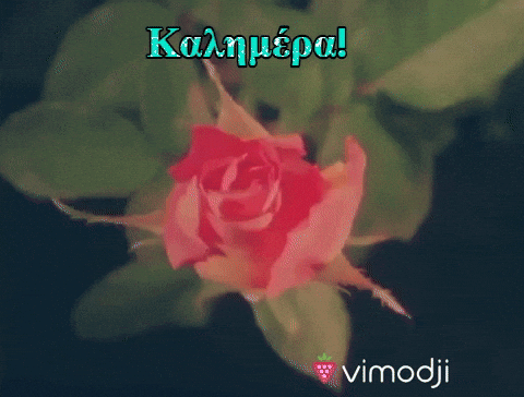 Kalimera Καλημερα GIF by Vimodji - Find & Share on GIPHY