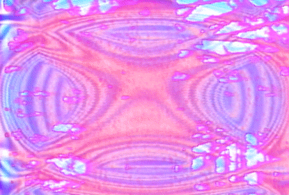 Pink Colors GIF by The Griffith Absurdatory - Find & Share on GIPHY