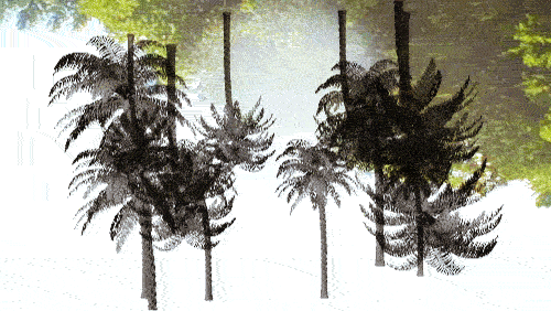 Palm Trees Falling GIF by The NGB - Find & Share on GIPHY