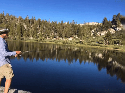 Fishing Lake GIF by Justin - Find & Share on GIPHY