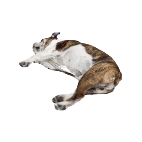 Sabbatical Deffi Sticker by VOX for iOS & Android | GIPHY